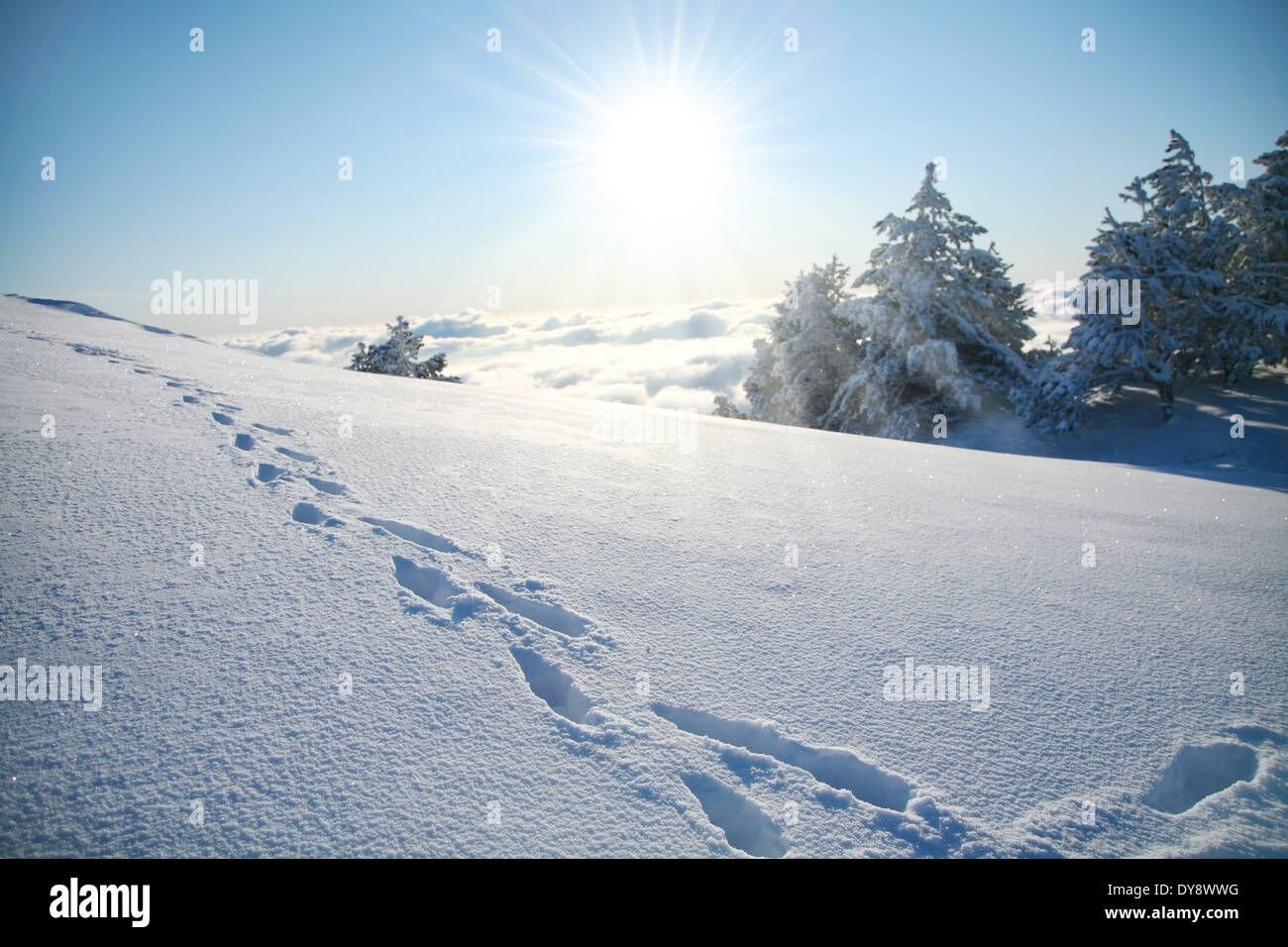 Footprints in the snow, reaching to the horizon above the clouds Stock ...