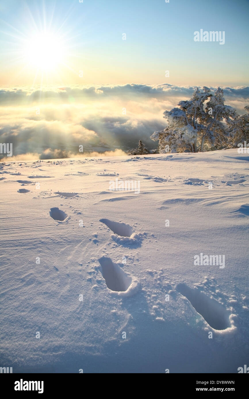 Footprints in the snow, reaching to the horizon above the clouds Stock ...