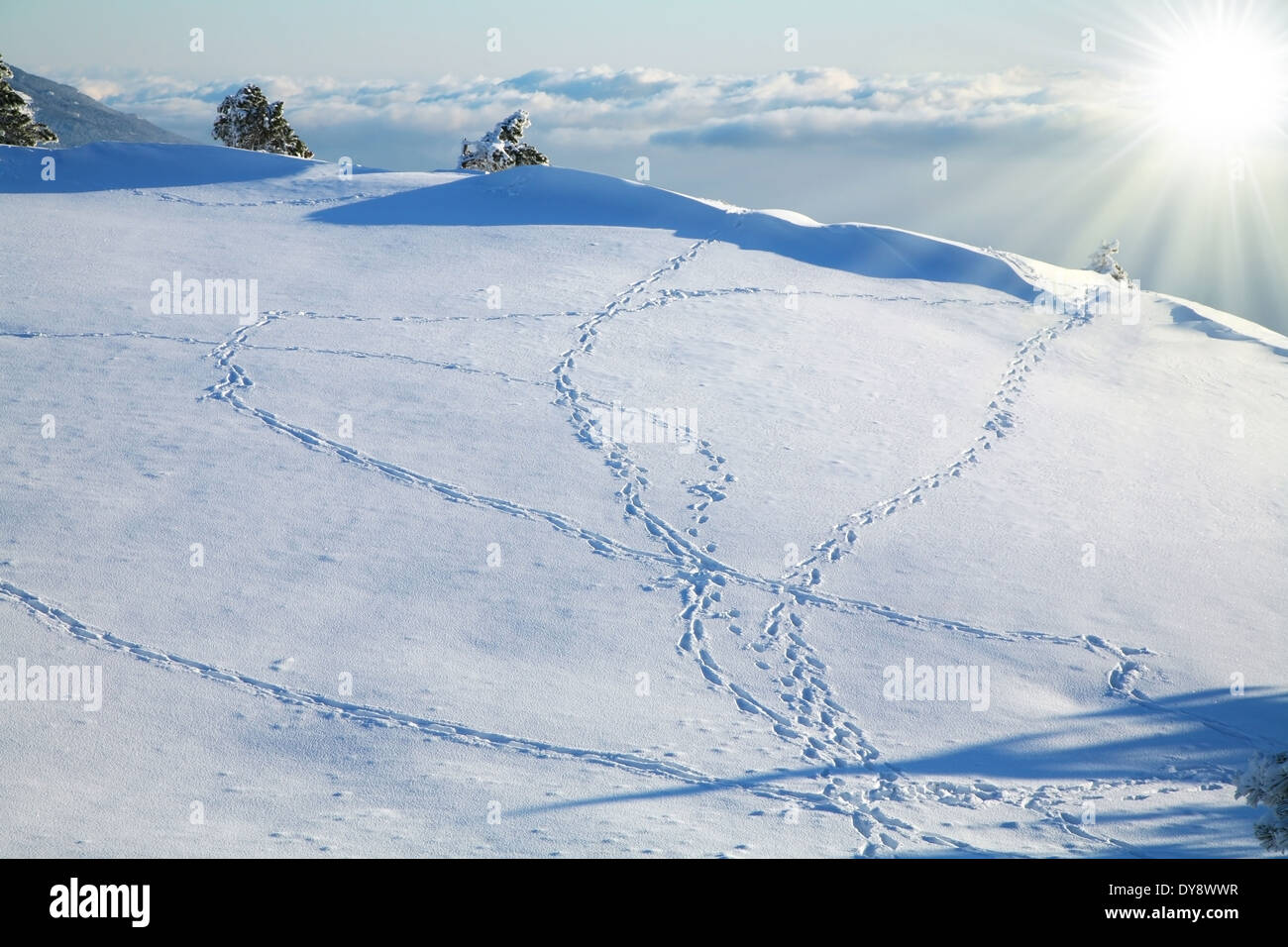 Footprints in the snow, reaching to the horizon above the clouds Stock ...