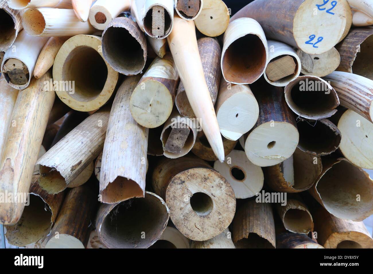 Ifaw hi-res stock photography and images - Alamy