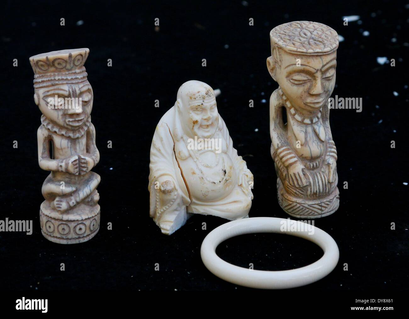 Ifaw hi-res stock photography and images - Alamy