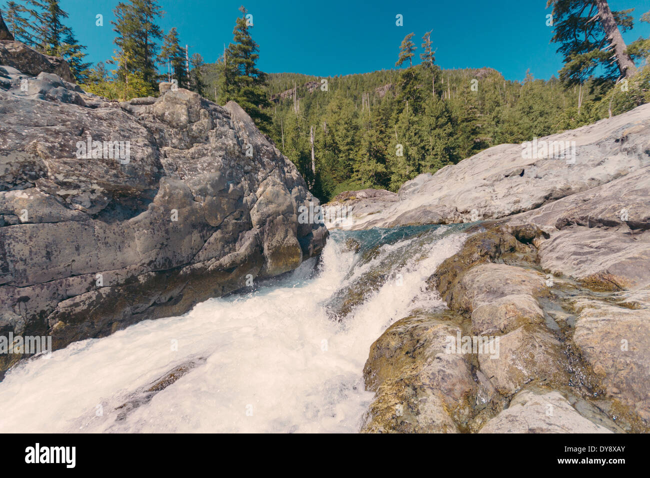 Canada, British Columbia, Natural creek Stock Photo - Alamy