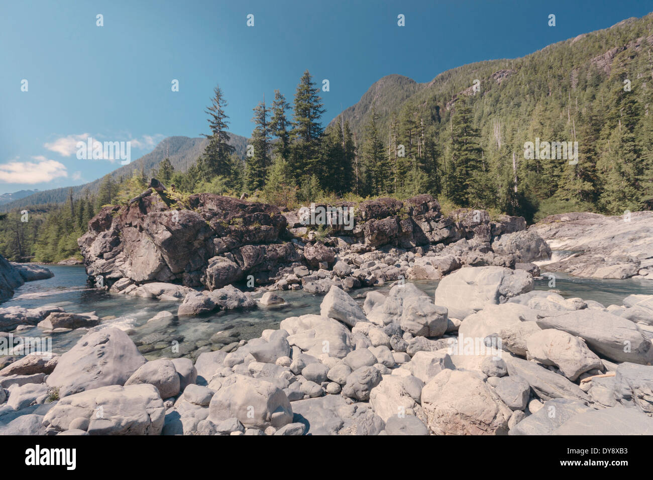 Canada, British Columbia, Natural creek Stock Photo - Alamy