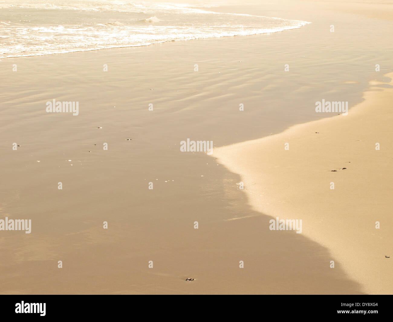 Graeme williams hi-res stock photography and images - Alamy