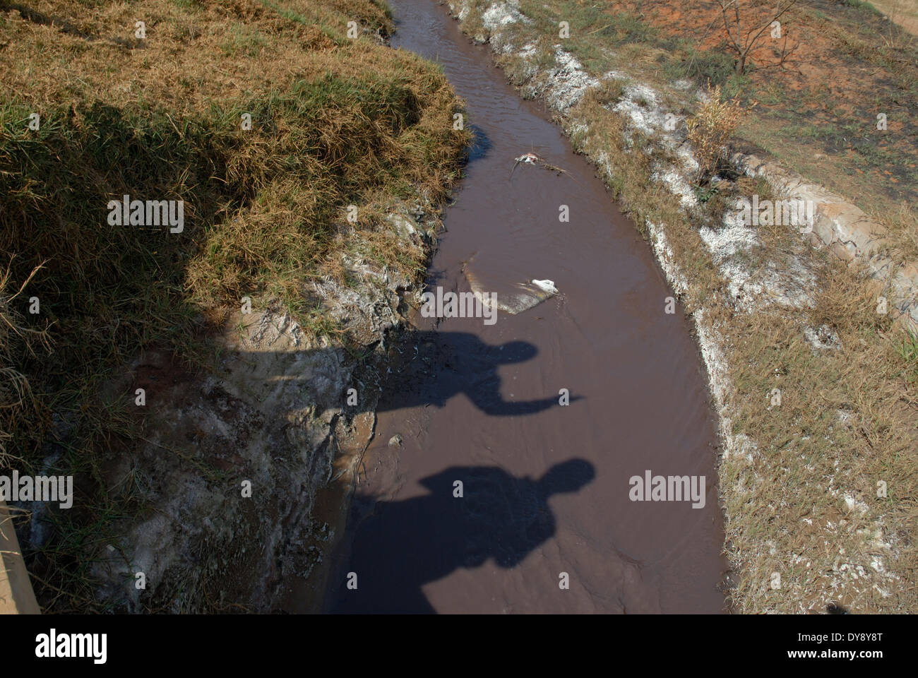 Witbank hi-res stock photography and images - Alamy