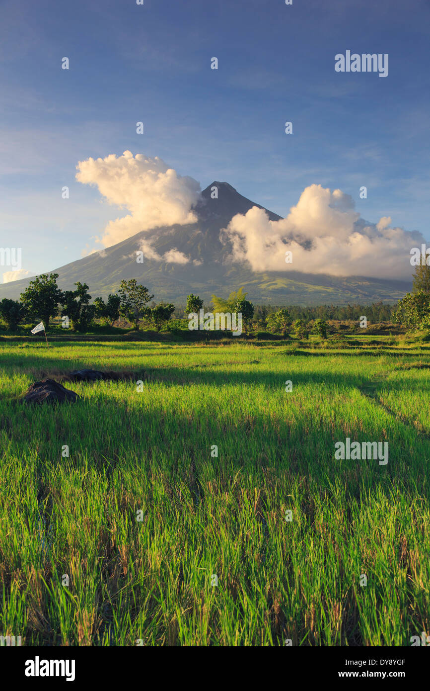 Philippines, Souteastern Luzon, Bicol, Mayon Volcano Stock Photo - Alamy