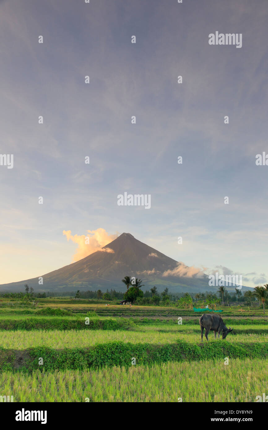 Philippines, Souteastern Luzon, Bicol, Mayon Volcano Stock Photo - Alamy
