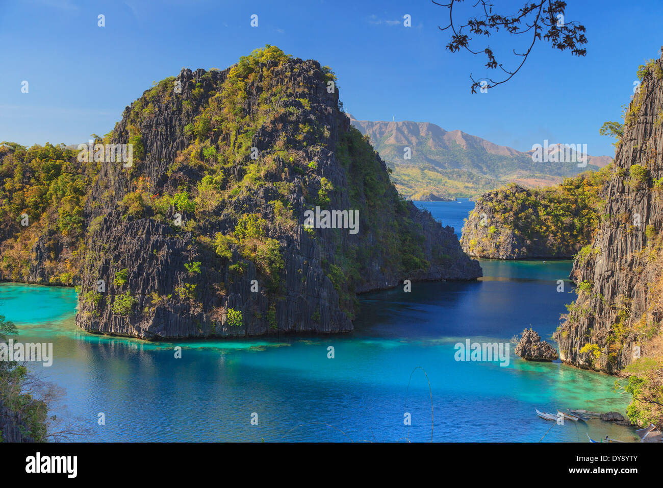 Philippines, Palawan, Coron Island, Kayangan Lake, elevated view from ...