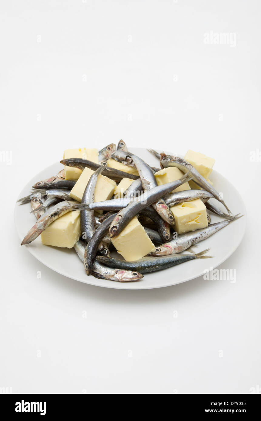 Plate of anchovies (Engraulidae) and pieces of butter on white ground ...