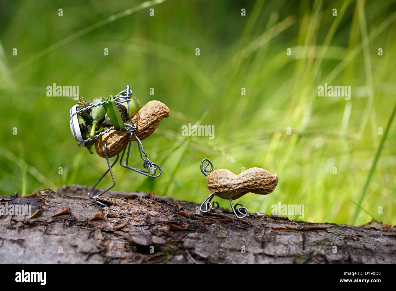 Human peanut hi-res stock photography and images - Alamy