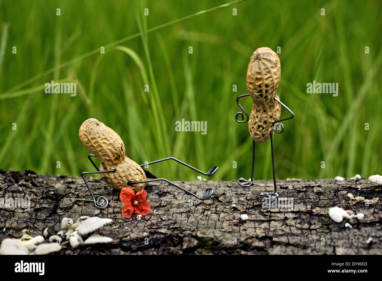 Human peanut hi-res stock photography and images - Alamy