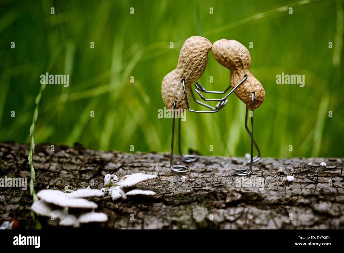 Pair of peanuts in love Stock Photo - Alamy