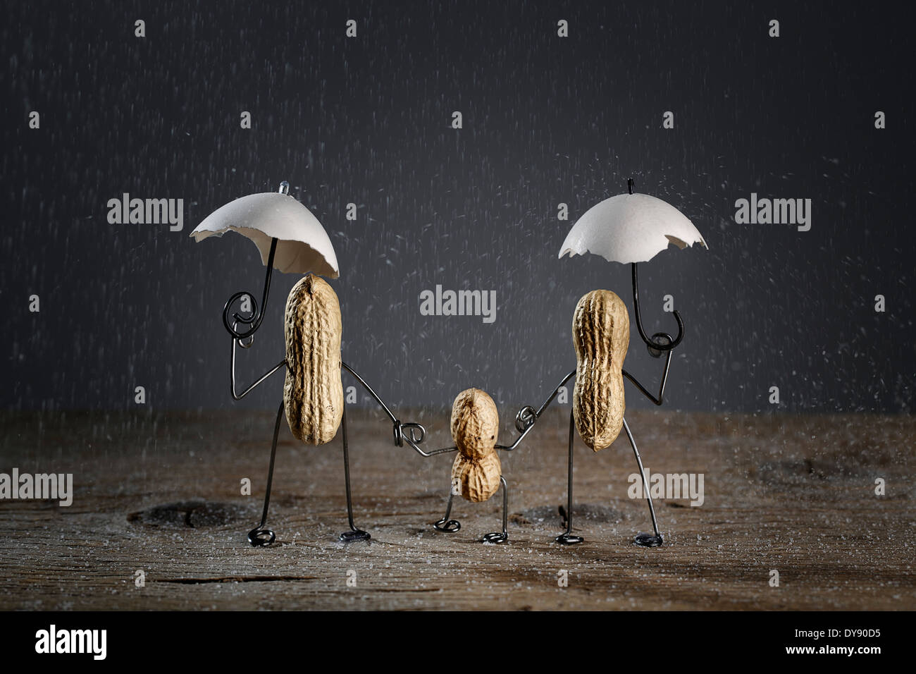 Three peanuts building family with one child in the rain (made of salt ...