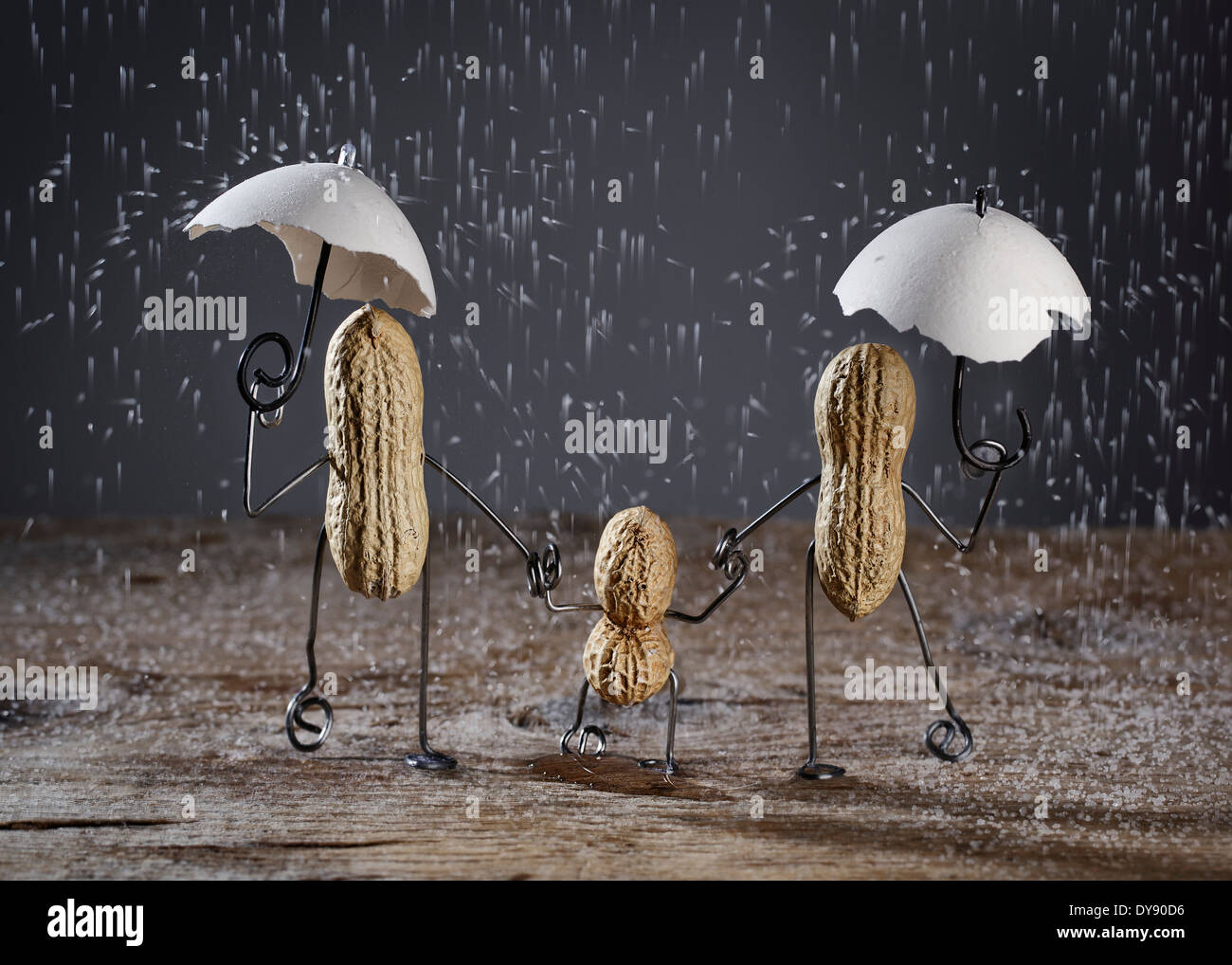 Three peanuts building family with one child in the rain made of salt ...
