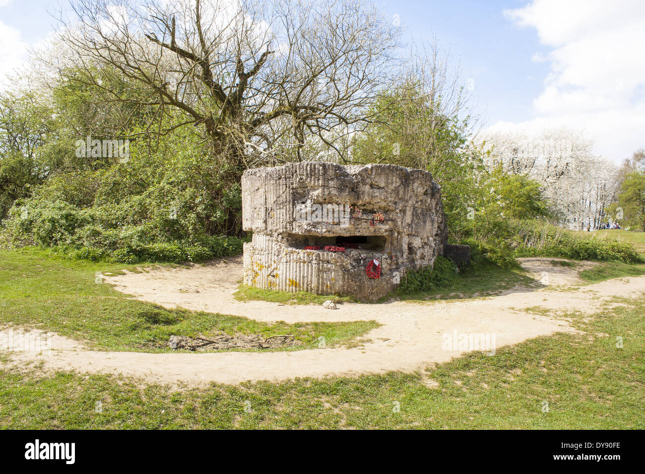 WW1 Hill 60 Bunker in the trench Belgium world war Stock Photo - Alamy