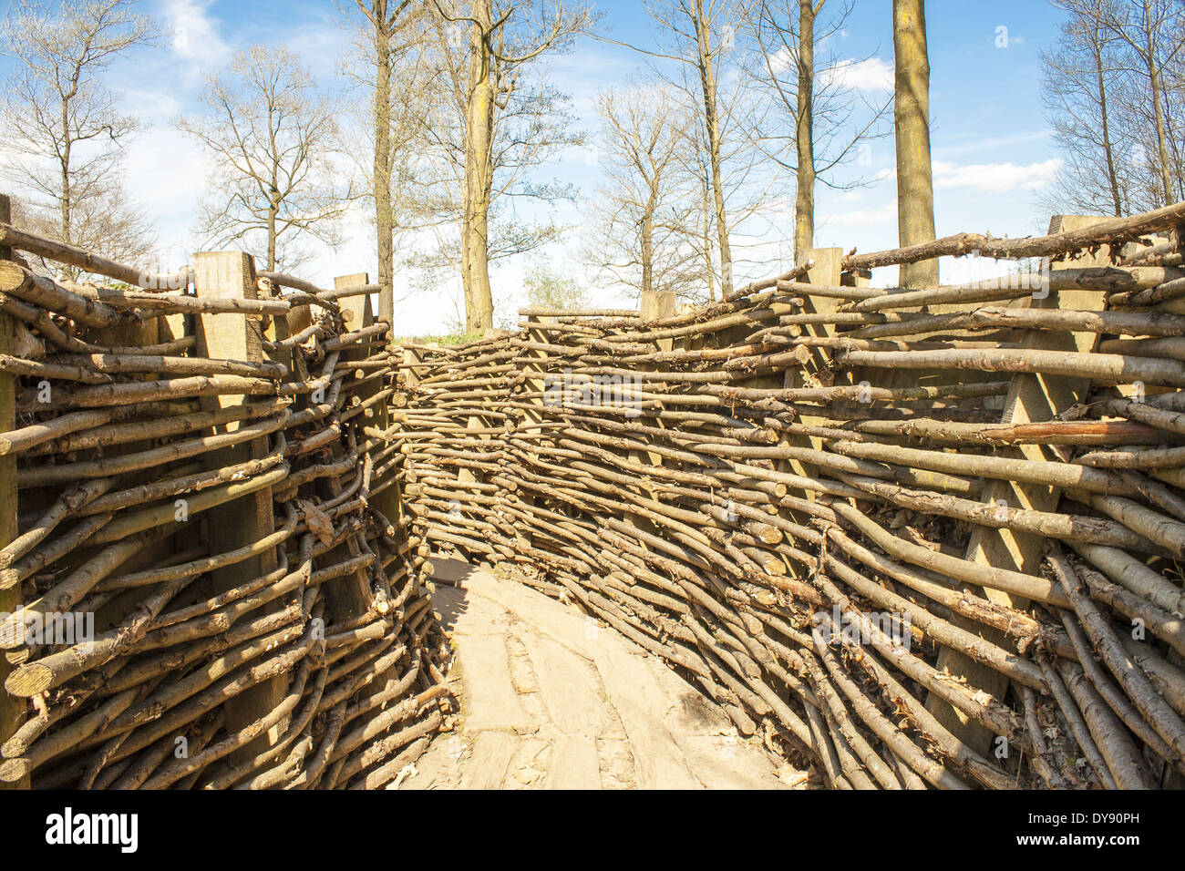 Ww1 german trench barbed wire hi-res stock photography and images - Alamy