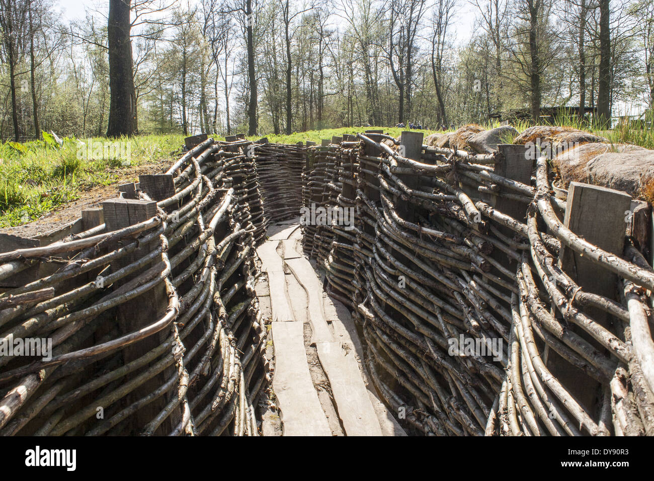 WW1 trench in Bayernwald world war one Belgium Stock Photo - Alamy