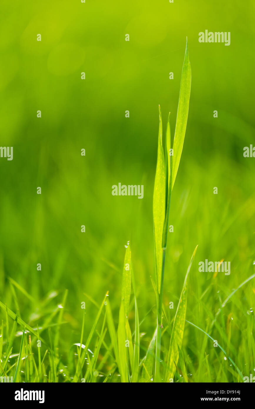 Season background image hi-res stock photography and images - Alamy