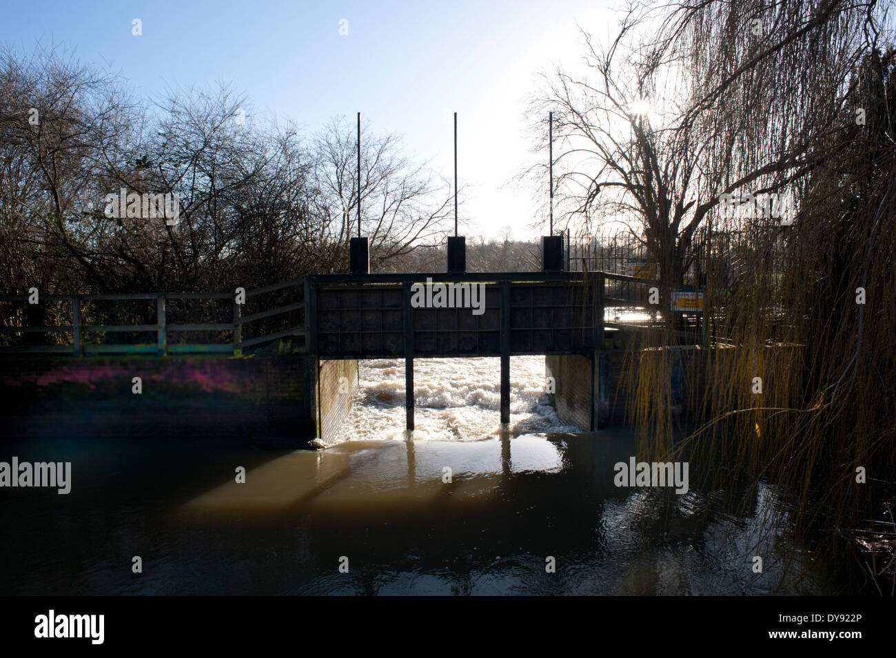Flooding along the river Mole during the Winter of 2014, Cobham, Surrey ...