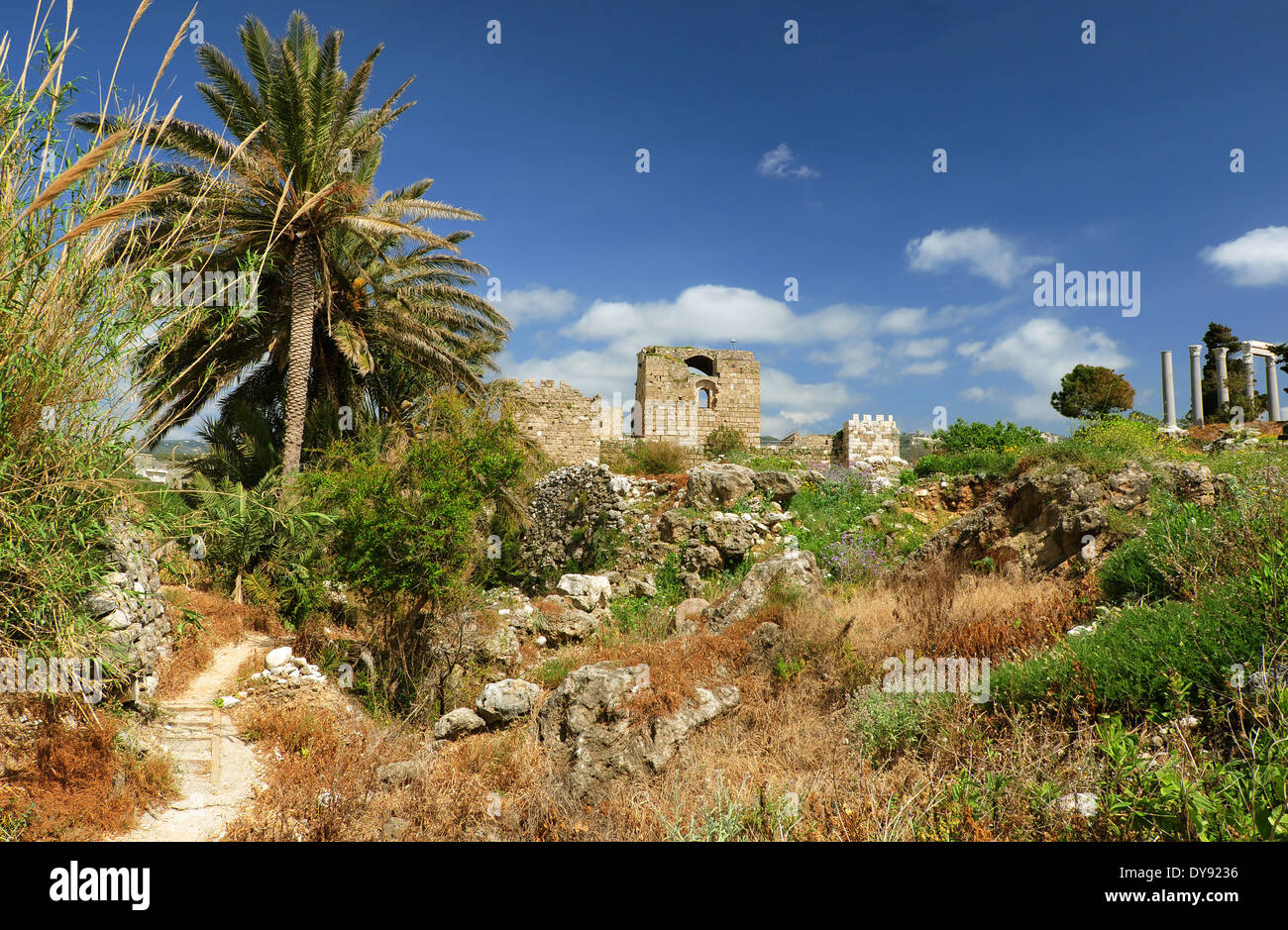 Byblos Castle, Lebanon Stock Photo - Alamy