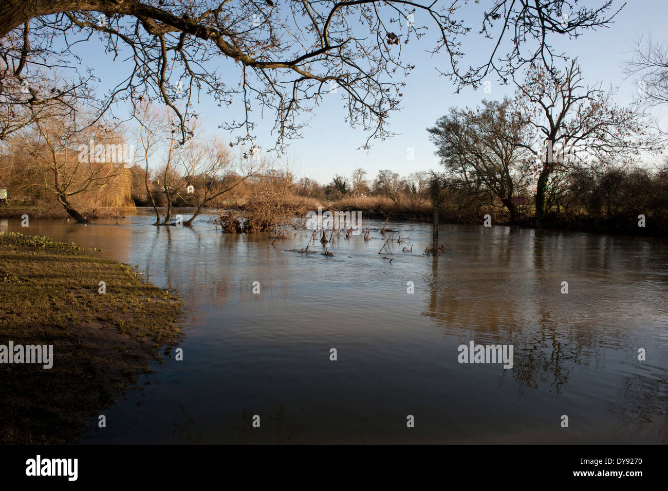 Flooding along the river Mole during the Winter of 2014, Cobham, Surrey ...