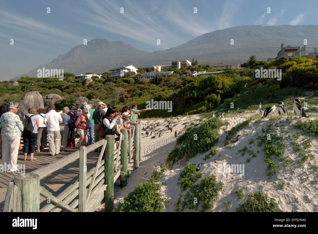 Boulder beach hi-res stock photography and images - Alamy