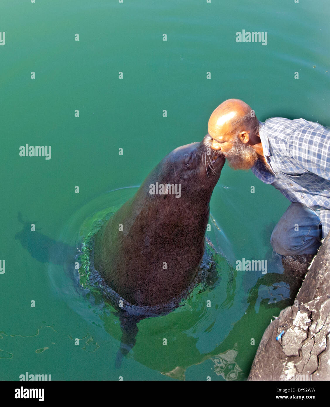 Seal man hi-res stock photography and images - Alamy