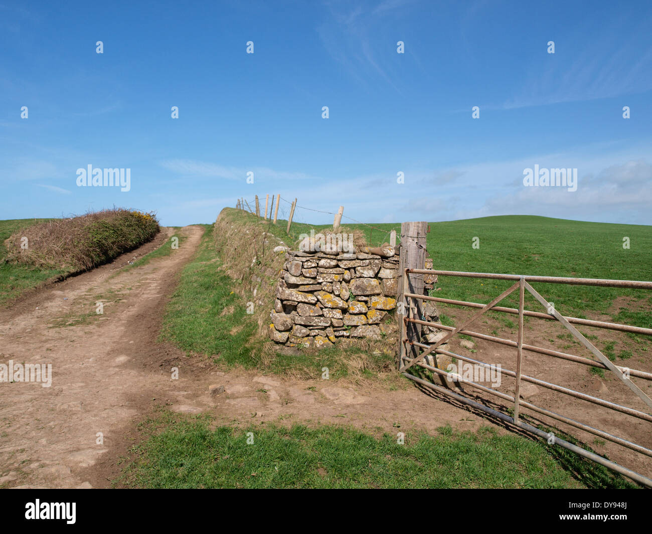 Farm gate uk hi-res stock photography and images - Alamy
