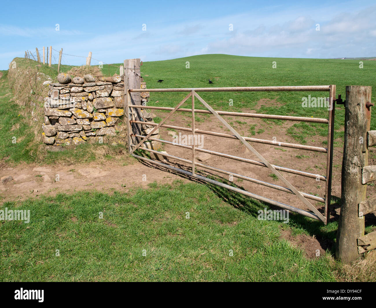 Field gate, Bude, Cornwall, UK Stock Photo - Alamy