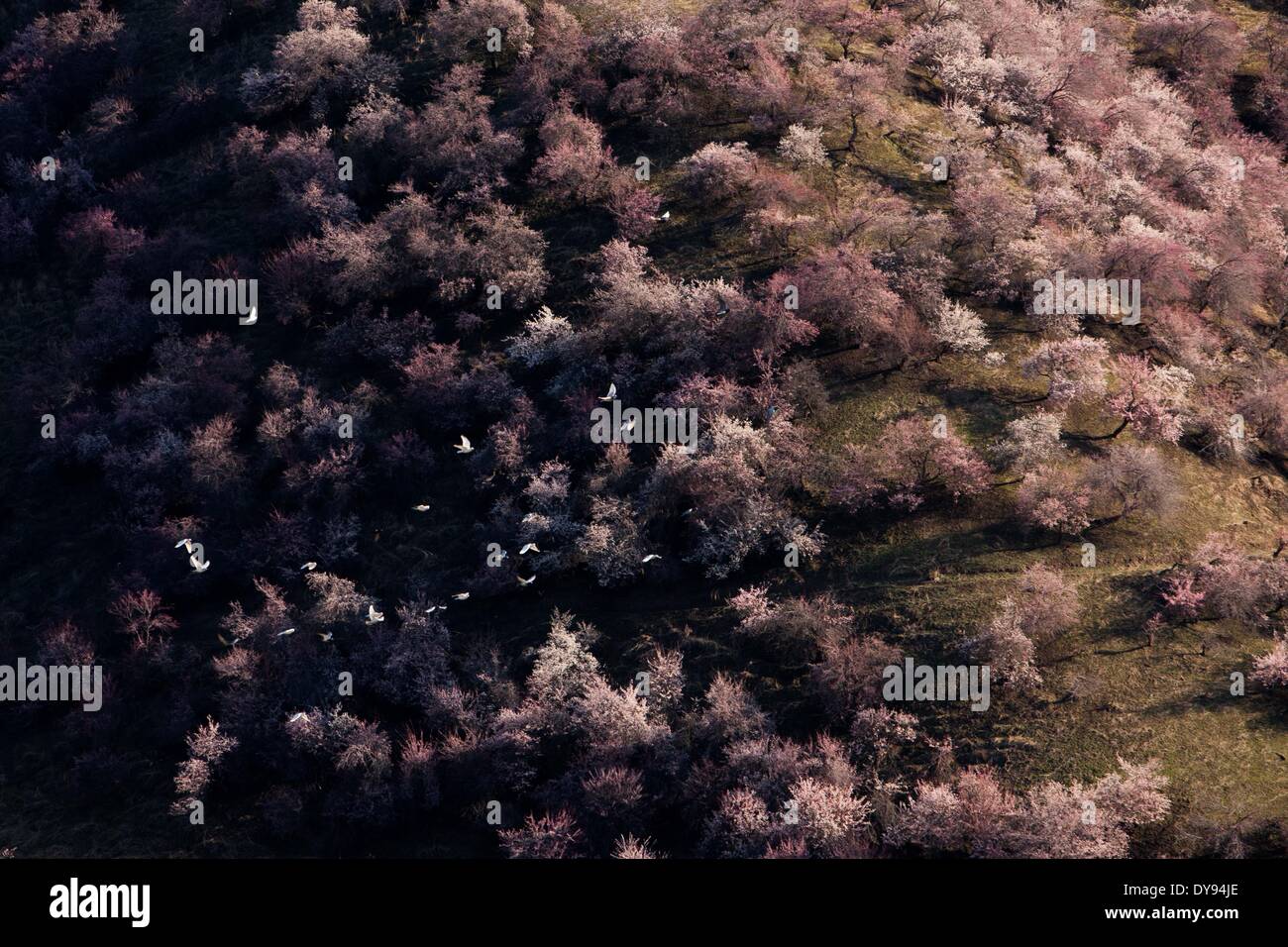 Xinyuan, China's Xinjiang Uygur Autonomous Region. 10th Apr, 2014 ...