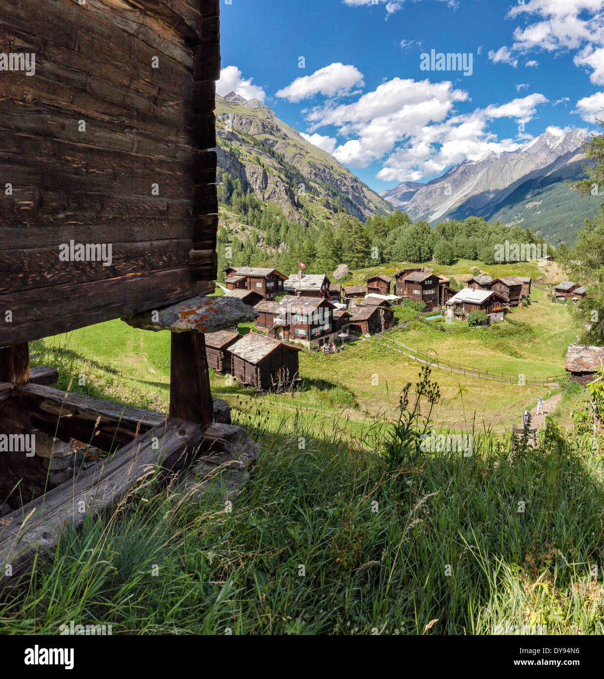 Farmhouses chalets hamlet Zmutt town village field meadow summer ...