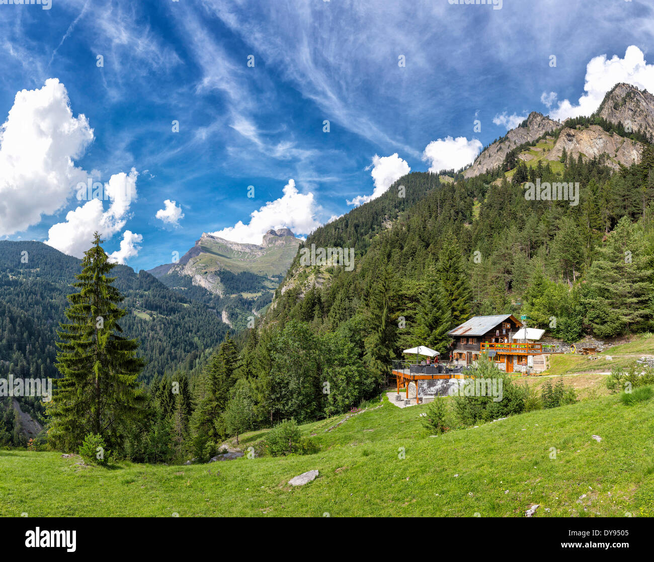 Mountain restaurant Col du Sanetsch landscape field meadow trees summer ...