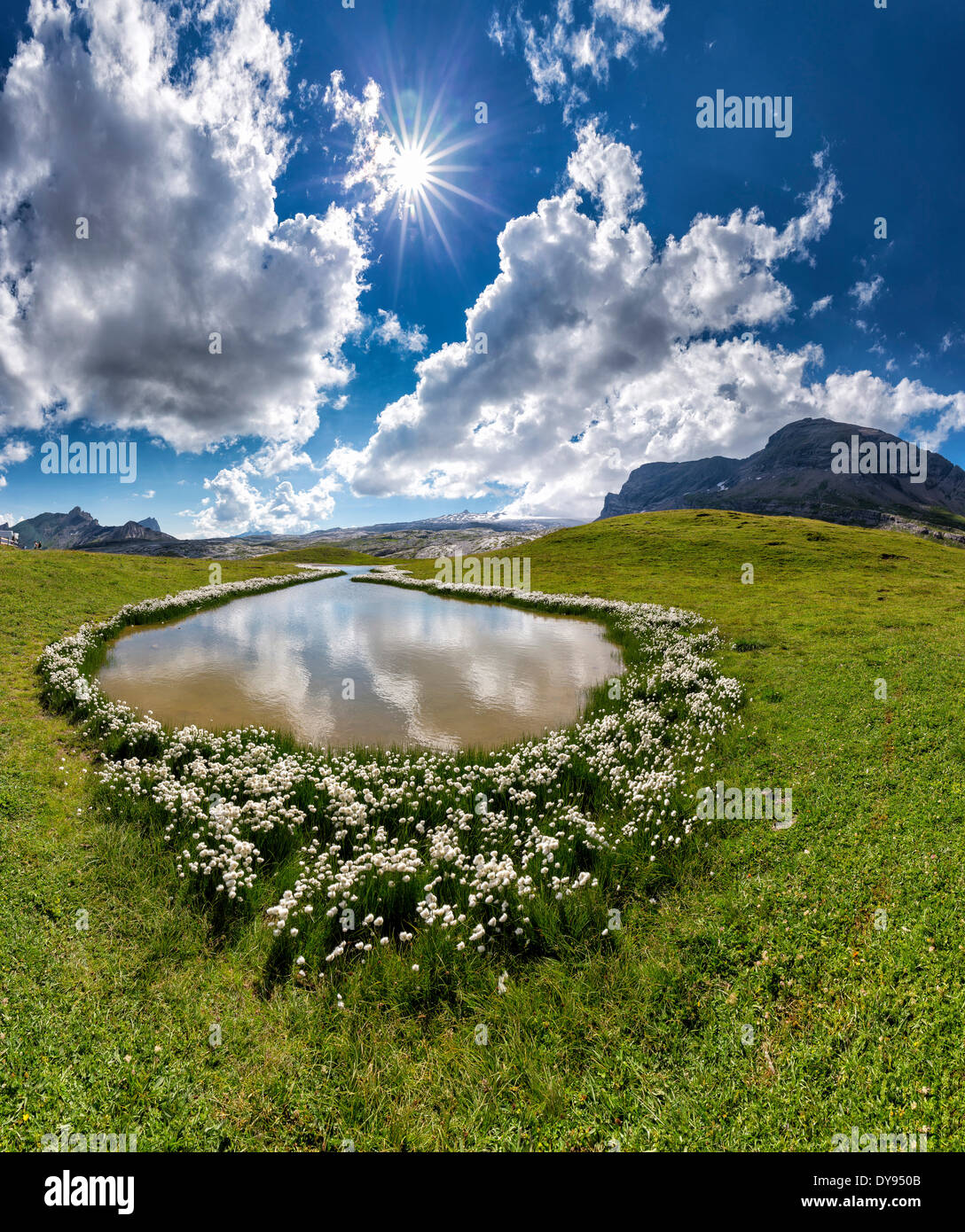 Mountains water flowers hi-res stock photography and images - Alamy