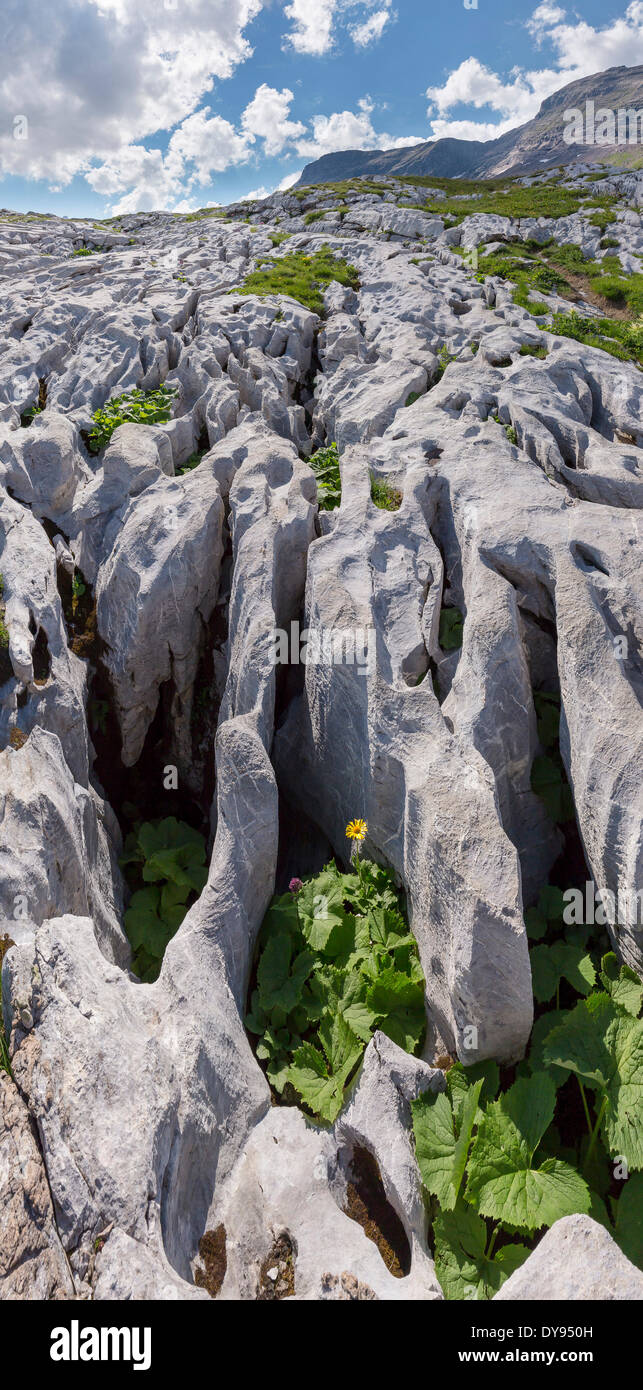Karst High Resolution Stock Photography and Images - Alamy