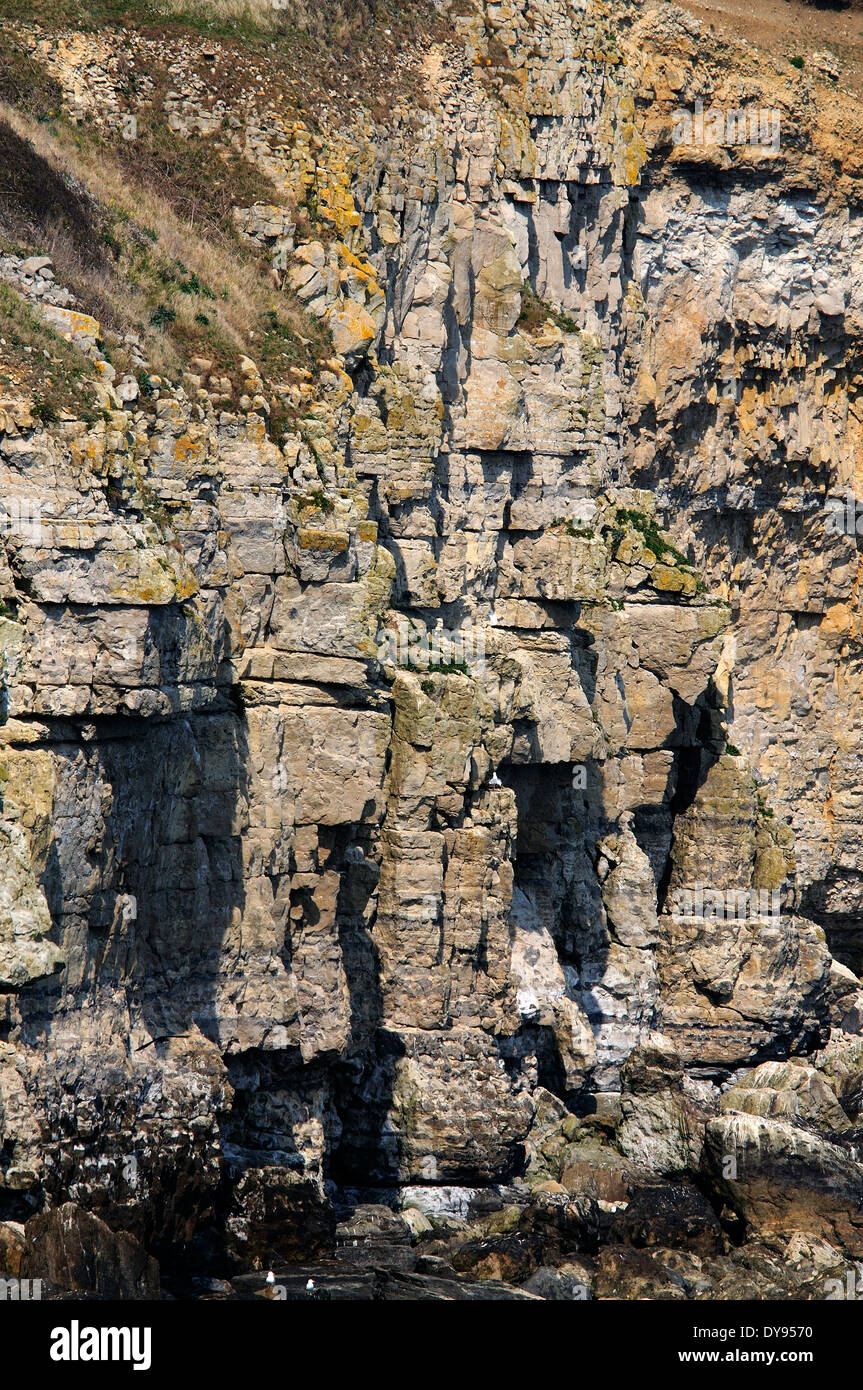 Seacombe Cliff Dorset High Resolution Stock Photography and Images - Alamy