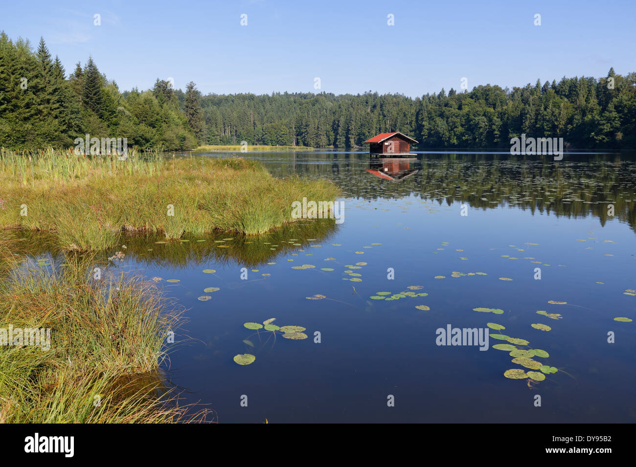 Kleinhartpenning hi-res stock photography and images - Alamy