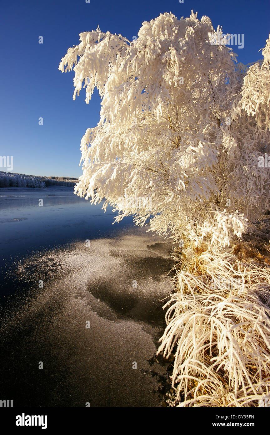 Great Britain, Scotland, Sutherland, Strath Oykel, Hoarfrost, Snow ...