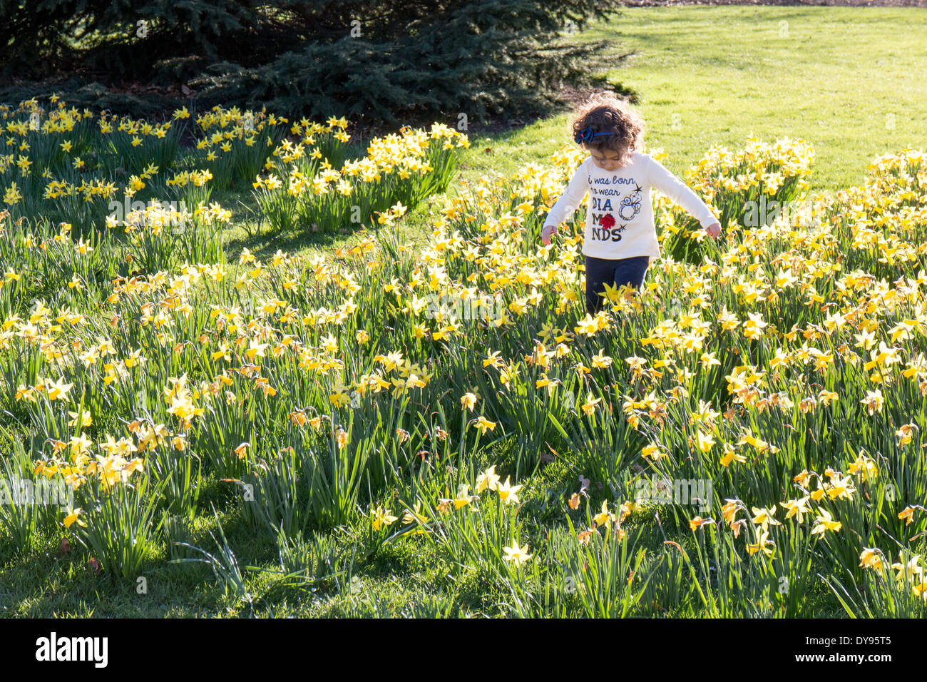 Young girl running in a field of flowers Stock Photo - Alamy