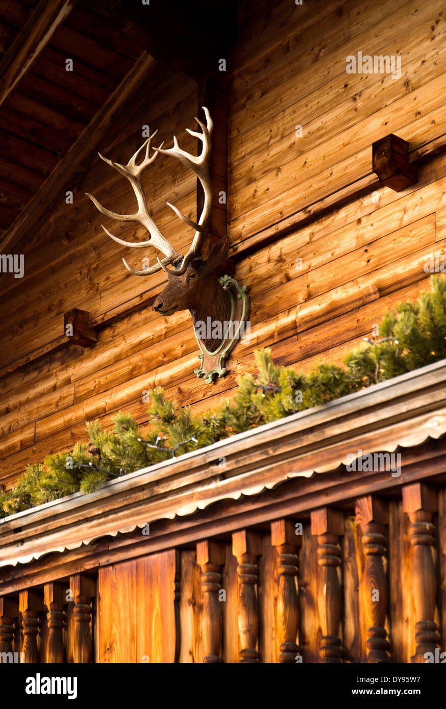 Wooden house with deer head hi-res stock photography and images - Alamy