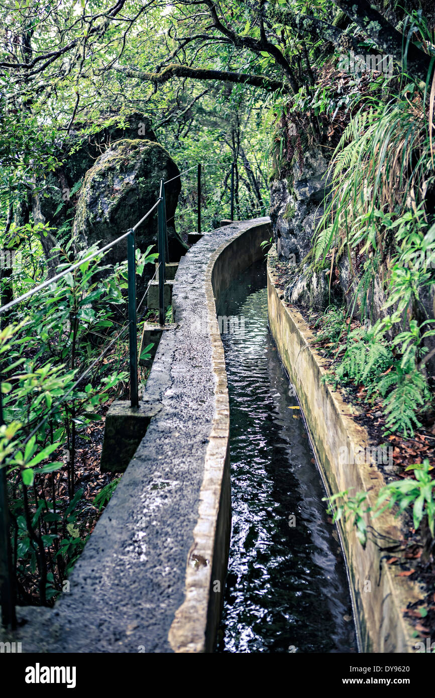 Portugal, Madeira, Levada, water channel Stock Photo - Alamy