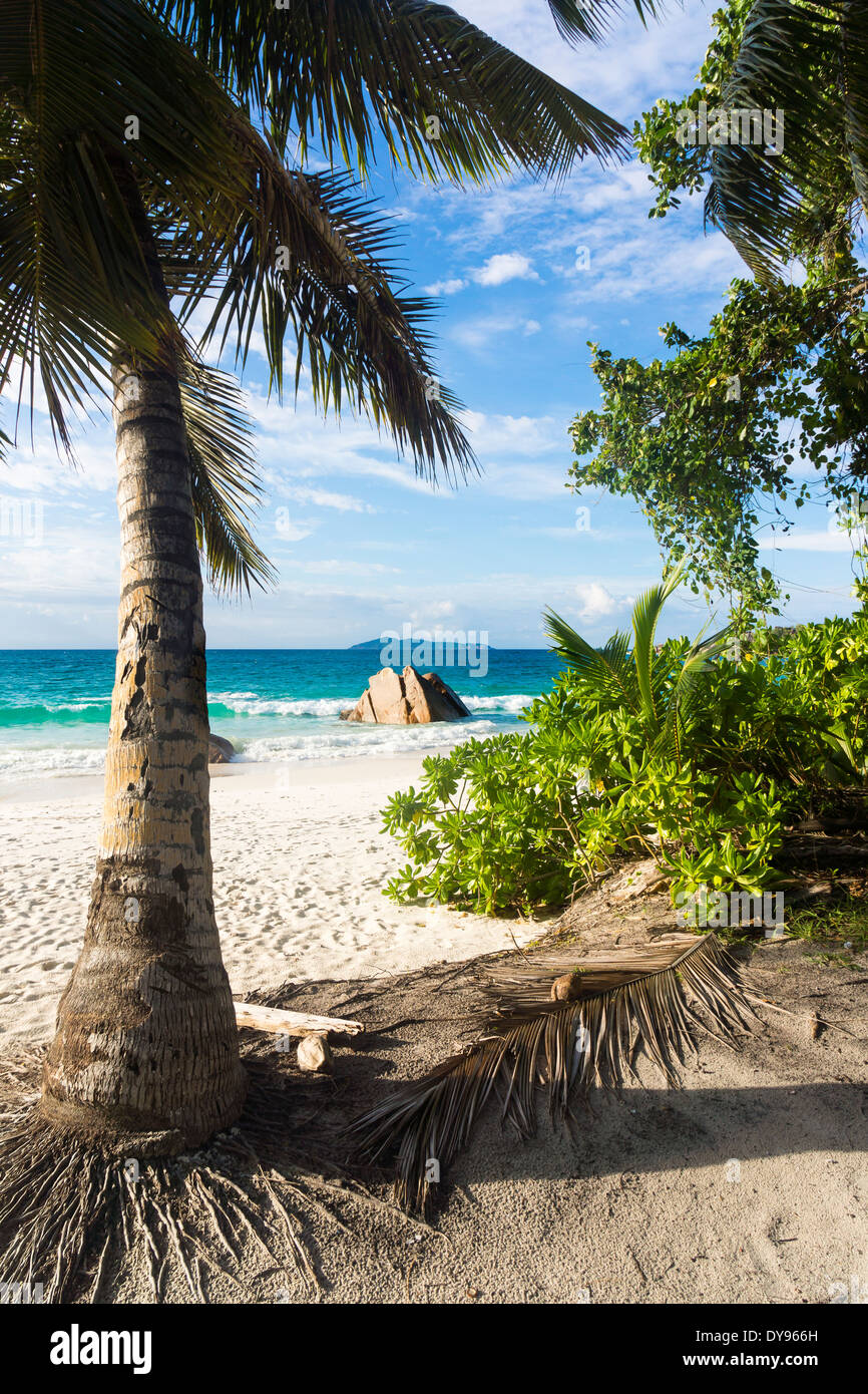 Seychelles, Praslin, View from Anse Lazio to Aride Island Stock Photo ...
