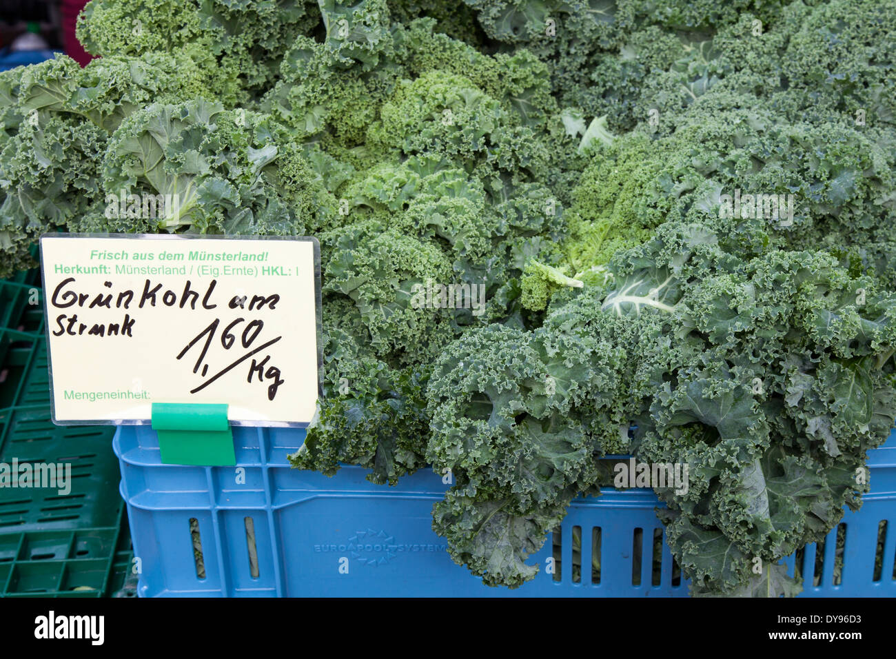 Plastic box of curly kale on market Stock Photo - Alamy