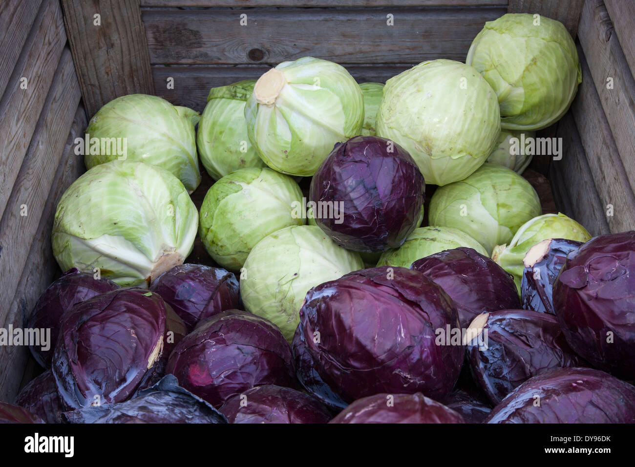 Wooden box of white and red cabbages on market, close-up Stock Photo ...