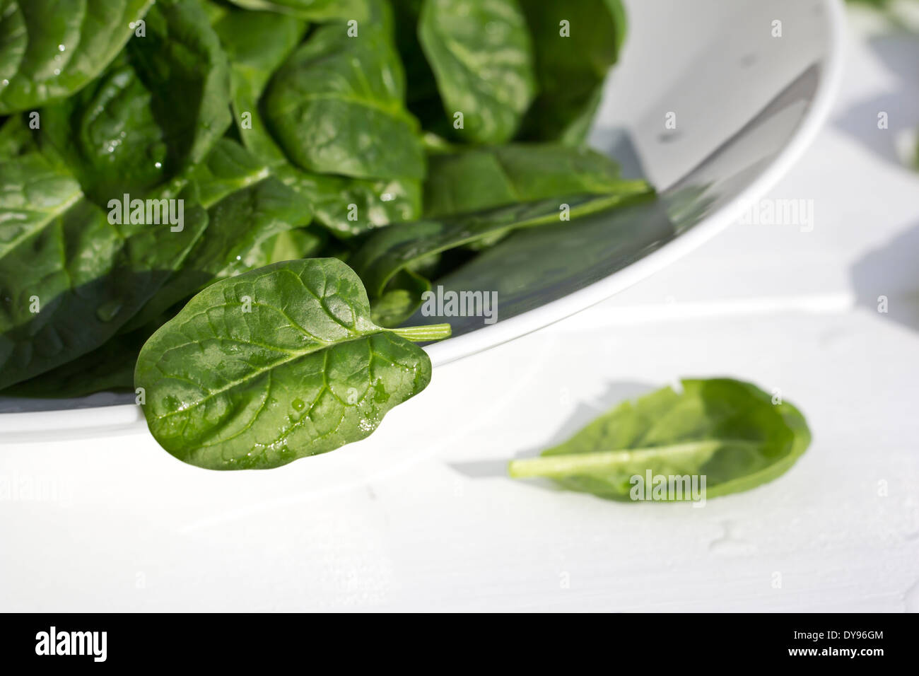 Bowl of spinach leaves (Spinacia oleracea) on white ground Stock Photo ...