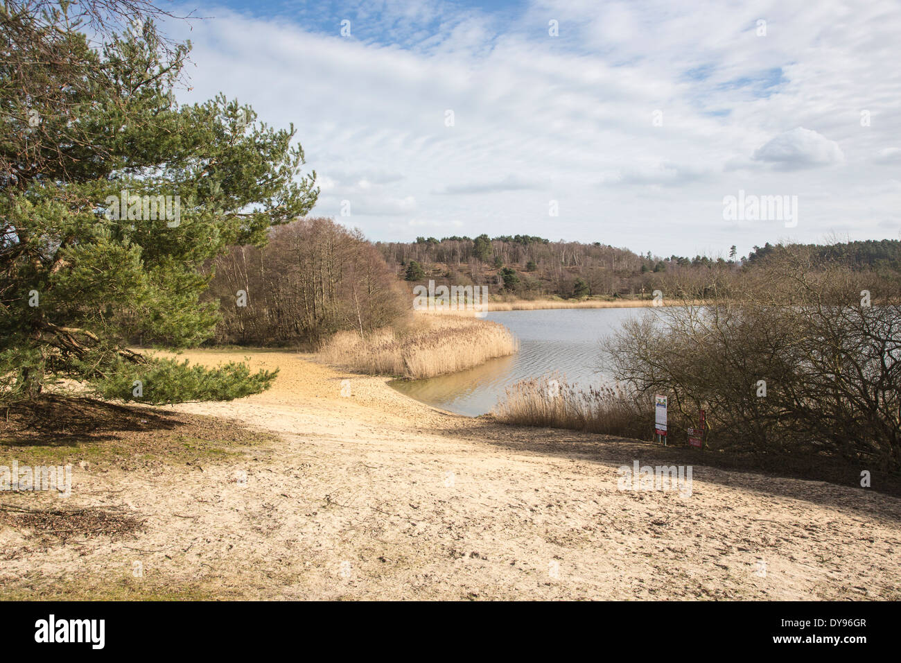Frensham Great Pond, Frensham Common, Waverley, Surrey, UK, in winter ...