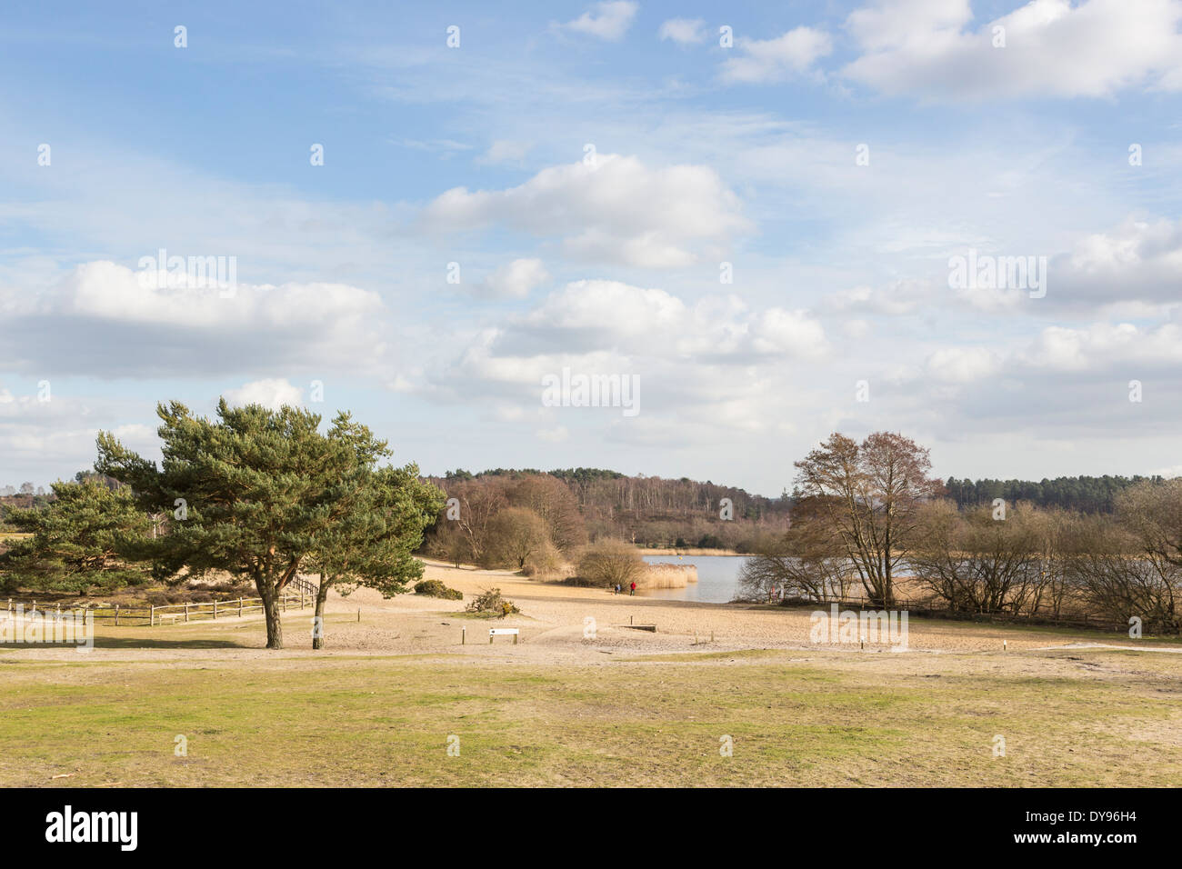 Frensham great pond hi-res stock photography and images - Alamy