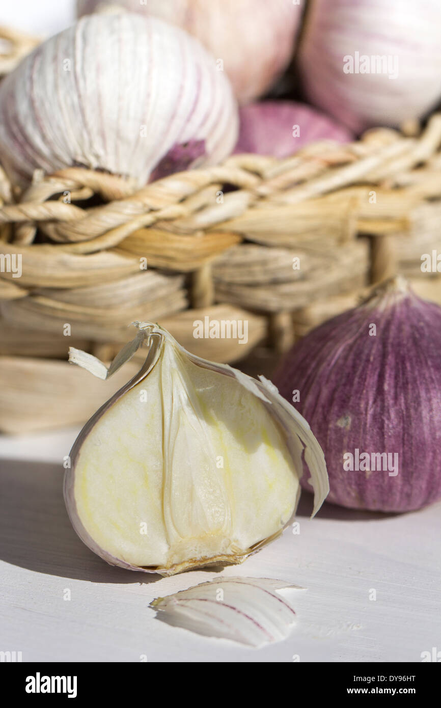 Cross Section Bulbs High Resolution Stock Photography and Images - Alamy