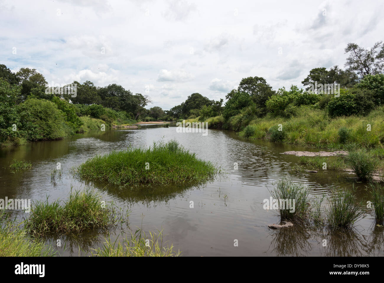 water river in kruger national park south africa Stock Photo - Alamy