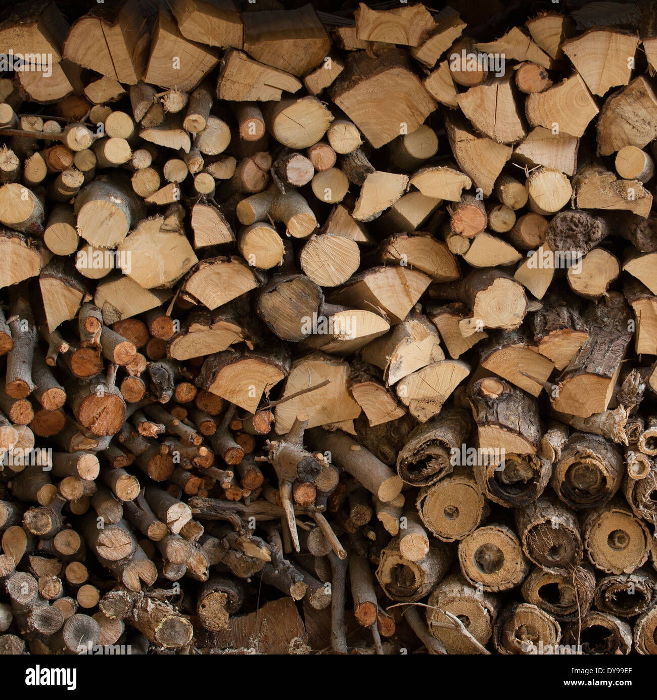 Log store. Storing winter fuel for the fire Stock Photo - Alamy