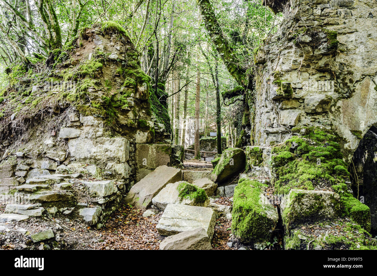 Ruins in the forest Stock Photo - Alamy